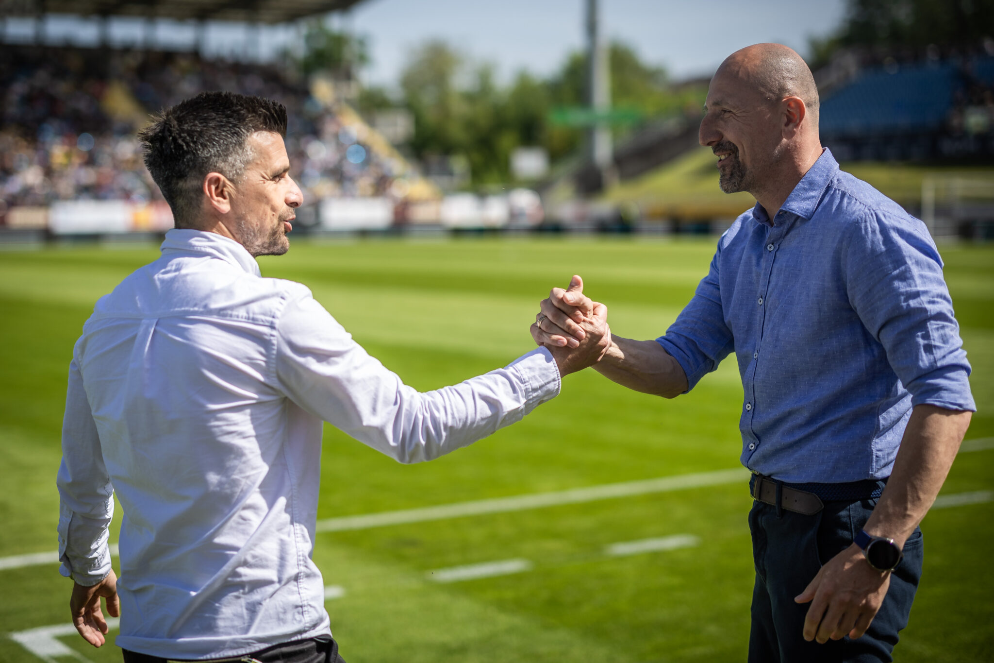 Pred letom tu izgubil vijolični pokal, zdaj je postal celjski grof - Sportklub